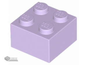 LEGO® 3003 - Steen 2 x 2 - Steentjeswereld