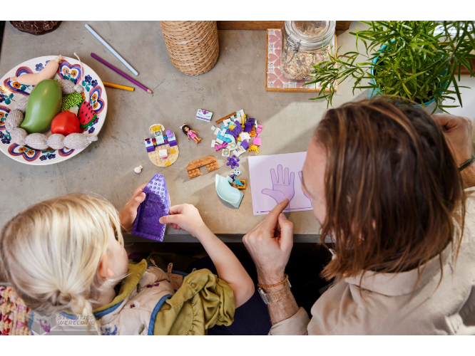 LEGO® 10786-1 - Steentjeswereld